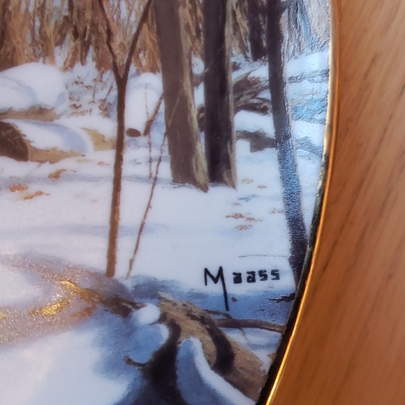 Wild Wings | Art | A Winter Rainbow By David Maass Collectors Plate ...